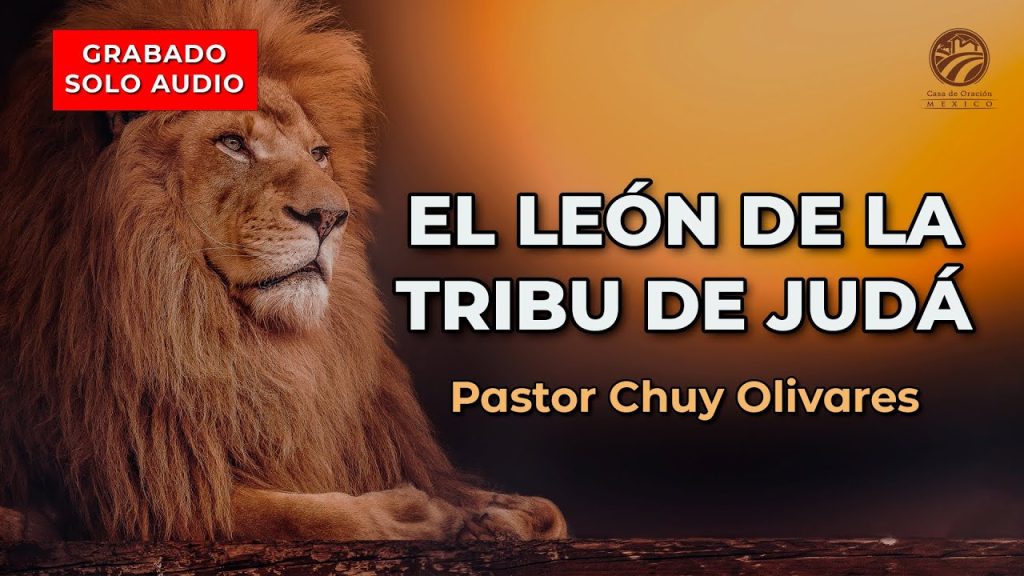 el león de la tribu de judá biblia