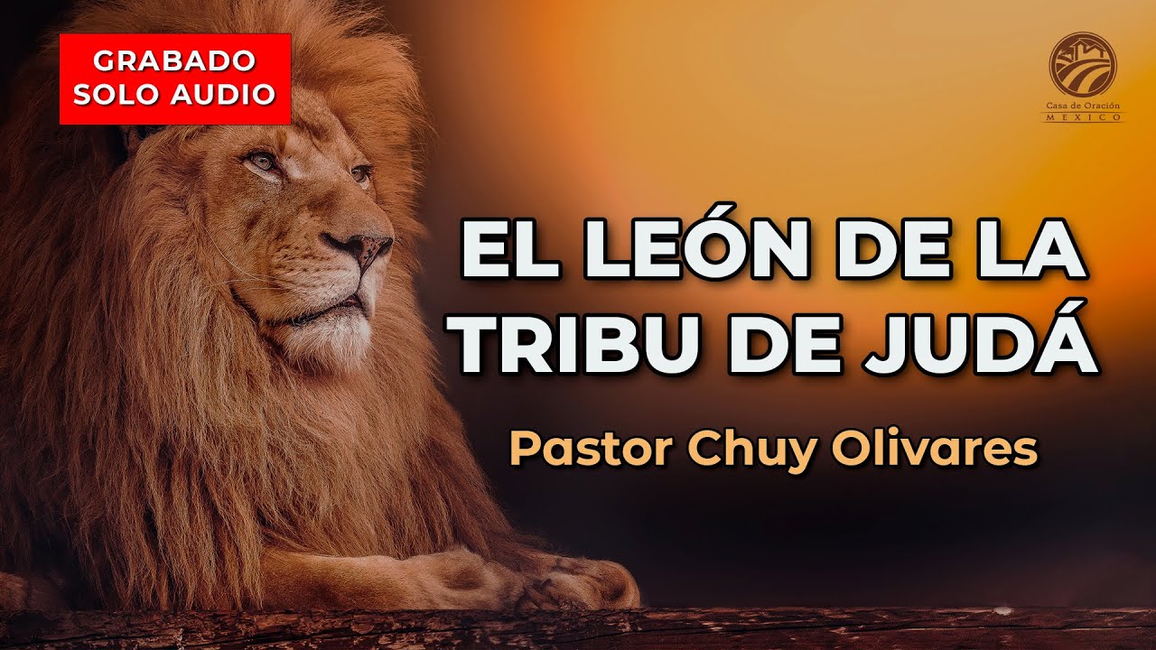 el león de la tribu de judá biblia
