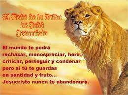 león de la tribu de judá biblia versículo bíblico
